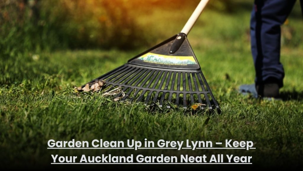 Garden Clean Up in Grey Lynn – Neat & Tidy Gardens All Year